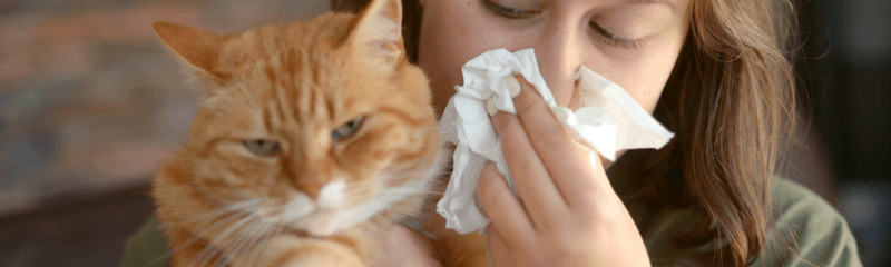 All About Sagebrush: Symptoms, Prevention, and Treatment