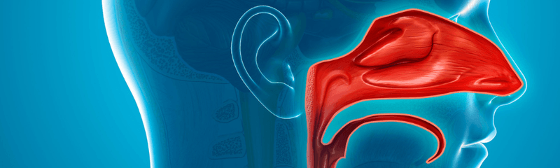 Septoplasty: Your Complete Guide to Deviated Septum Surgery