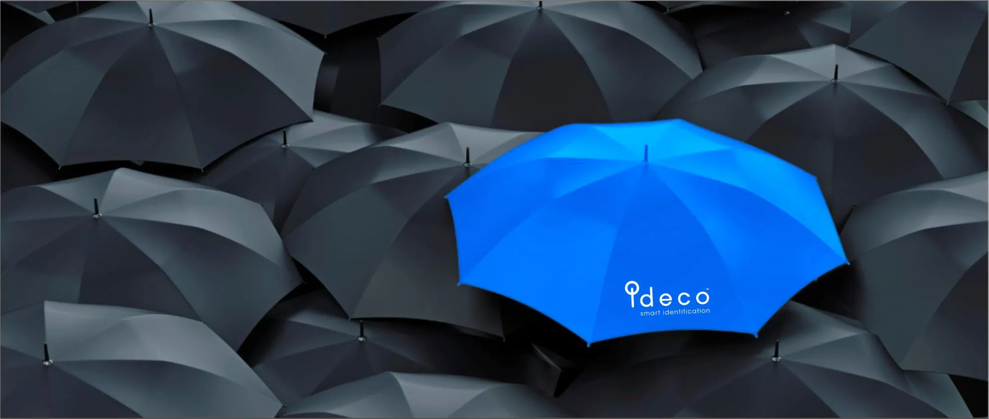 Biometric Access Control Management Systems | Ideco Biometrics