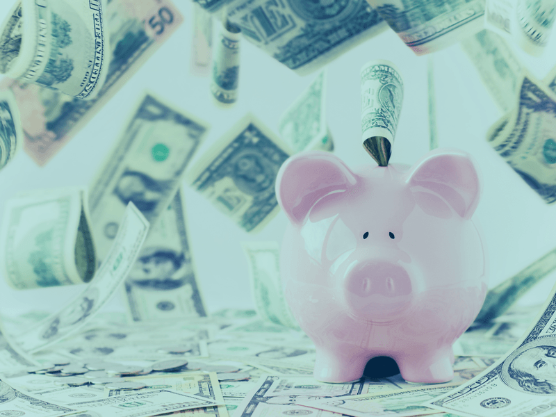 Florida FY 2024-25 Budget Summary: Introduction and Revenue Overview