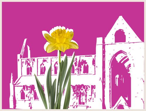 United Kingdom DNA Report | Anglo Saxon Ancestry Test | Genomelink