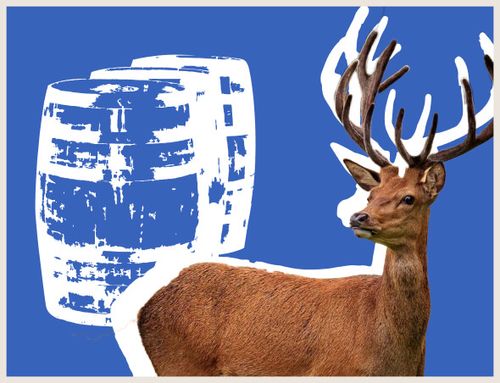 United Kingdom DNA Report | Anglo Saxon Ancestry Test | Genomelink