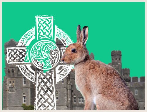 United Kingdom DNA Report | Anglo Saxon Ancestry Test | Genomelink