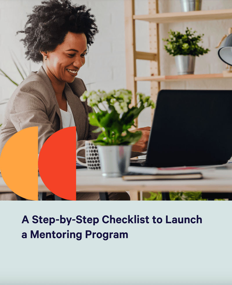 Mentorship Program Proposal Template | Together Software
