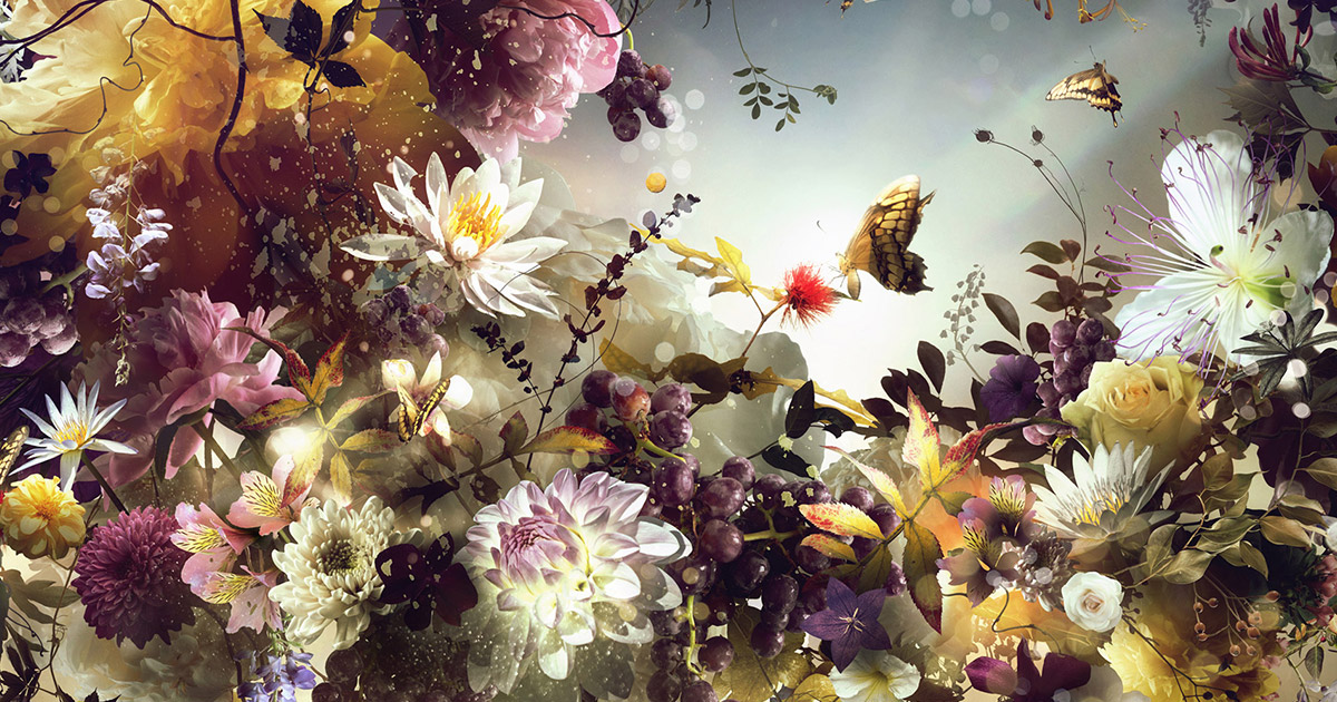 Jesper Krijgsman | Home