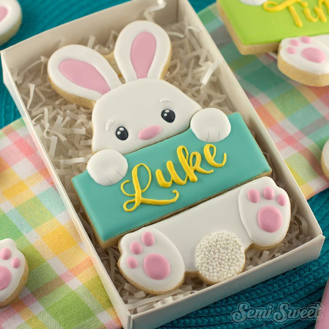 Cookie Decorating with Royal Icing Recipes & Baking Tools | Semi Sweet ...