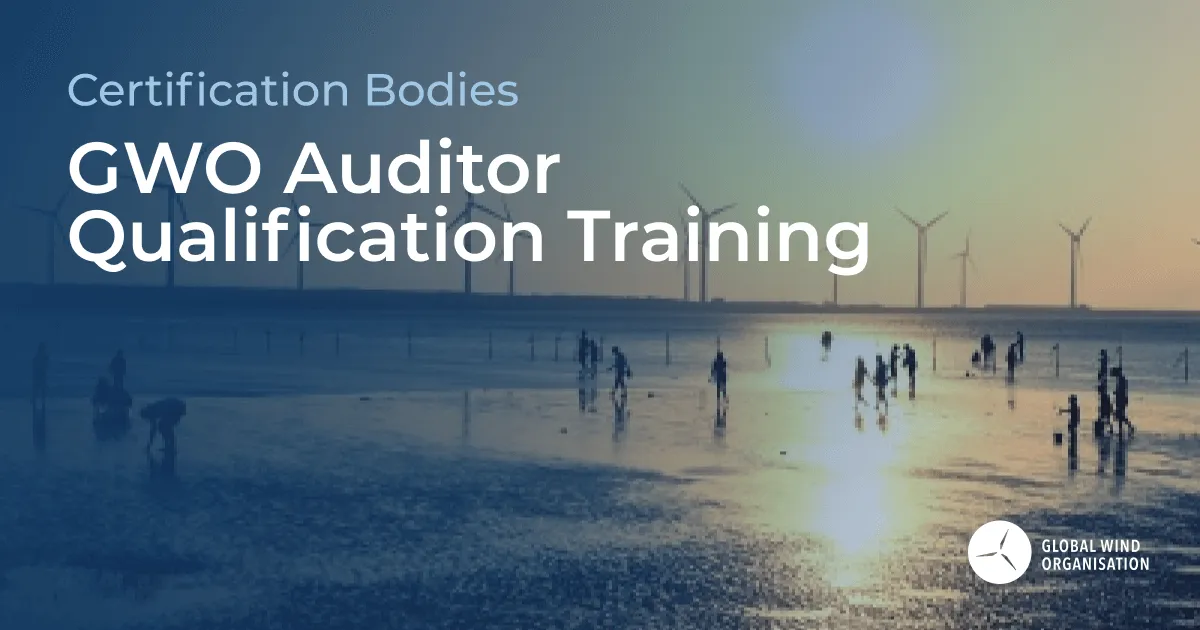Auditor Training