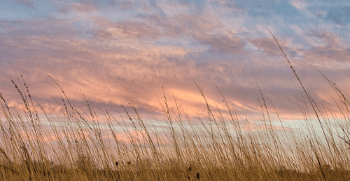 Tribal Banking Services