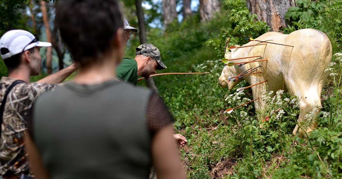 What Is 3D Archery? | Retire Fearless