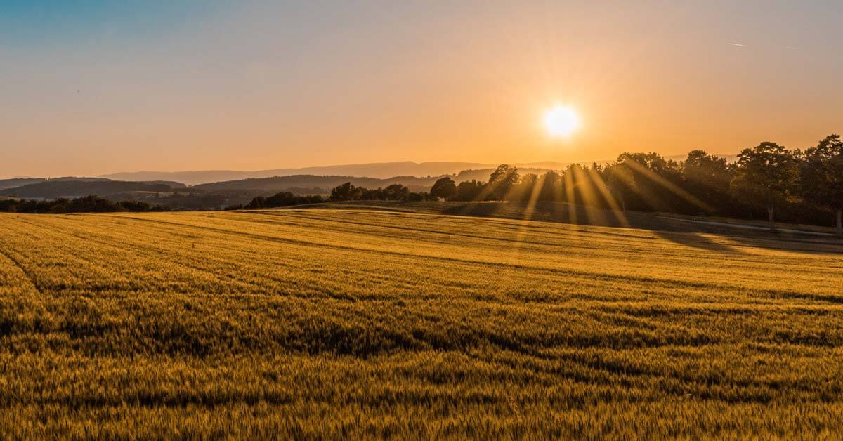 How Big Is An Acre (With Visual Examples) | Retire Fearless