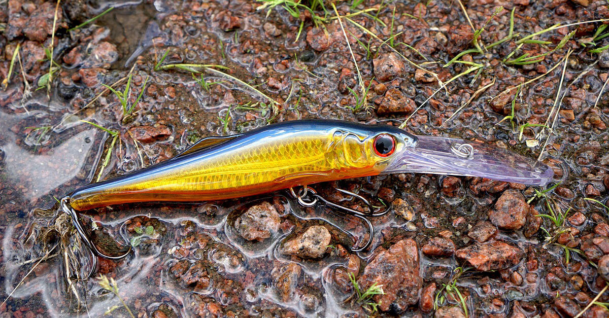 How to Fish With Lures – The Ultimate Guide | Retire Fearless