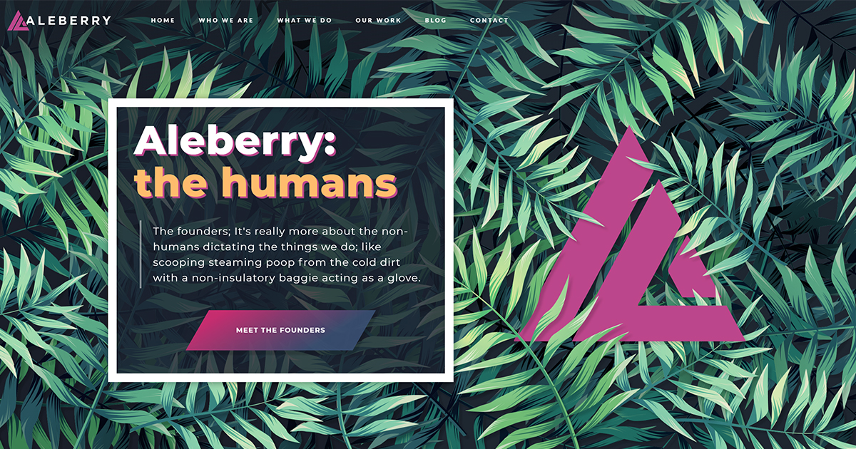 Who We Are | Aleberry