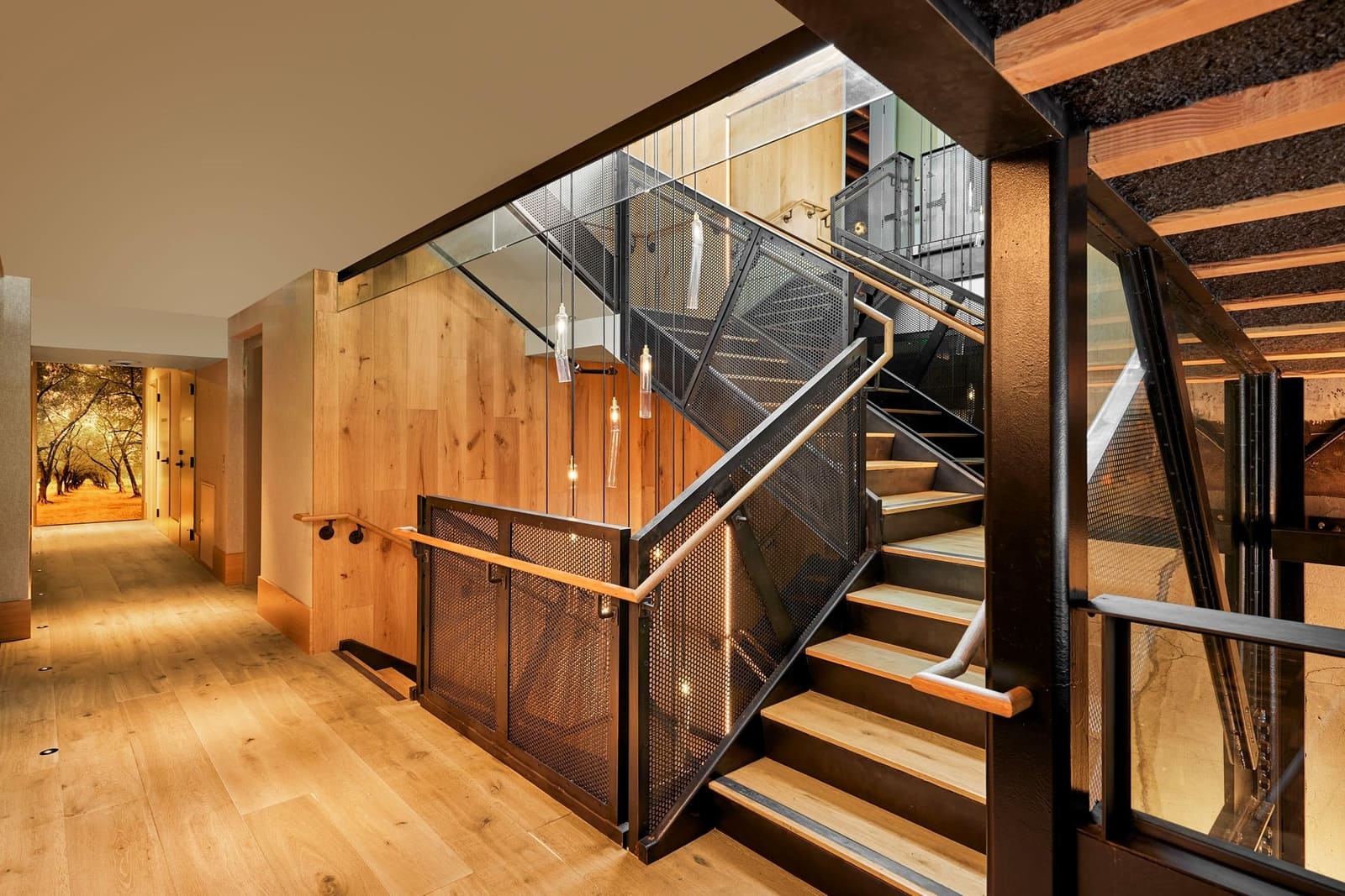 The Matheson | Restaurants | Cass Calder Smith