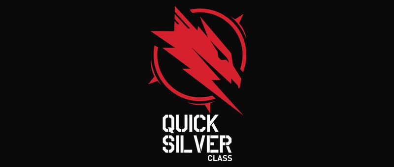 XFX Quicksilver AMD Radeon RX 9070XT Gaming Edition