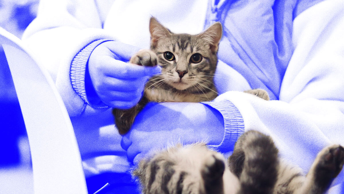 5 ways to use text messaging for your veterinary practice or animal ...