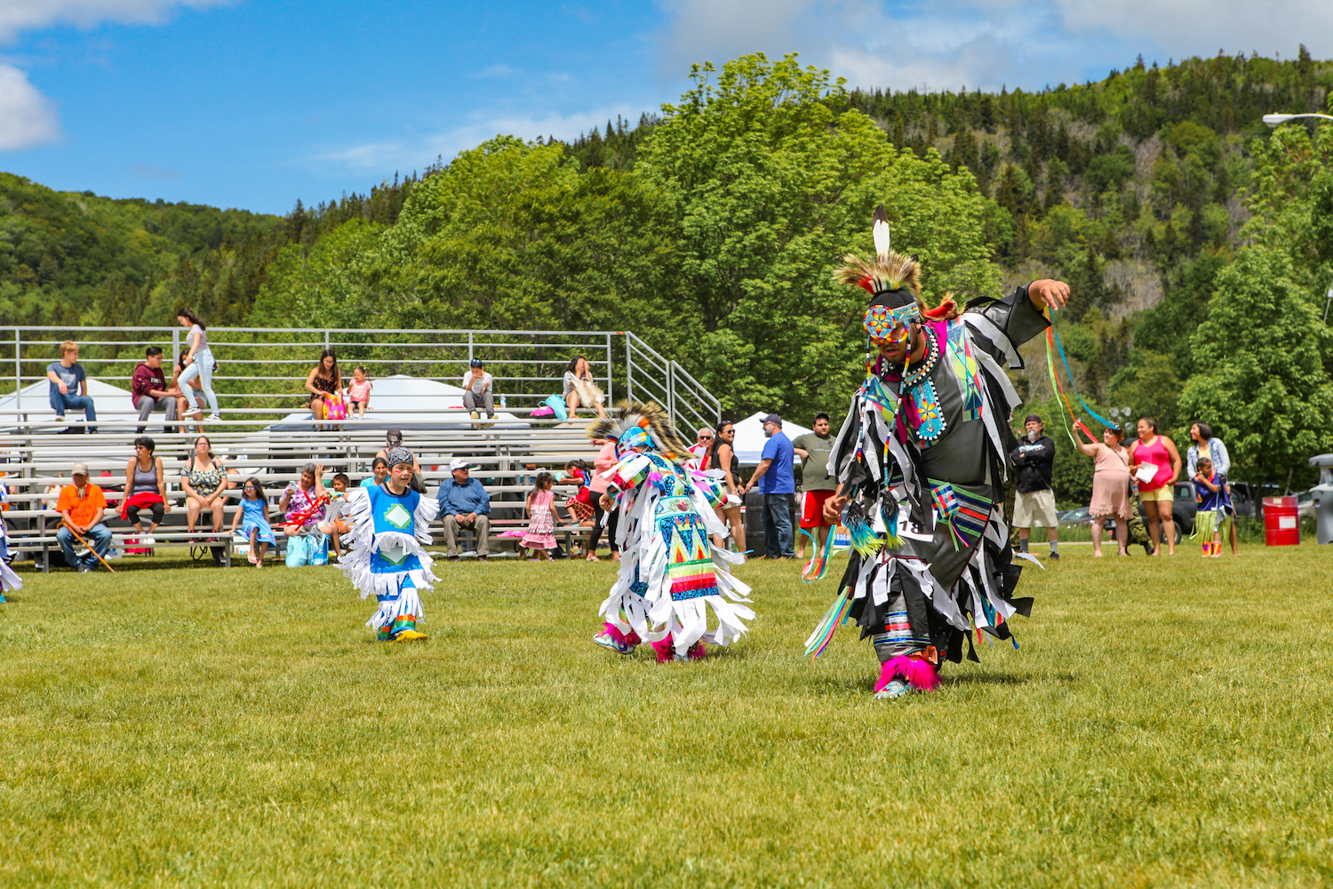 Reports | Union of Nova Scotia Mi'kmaq