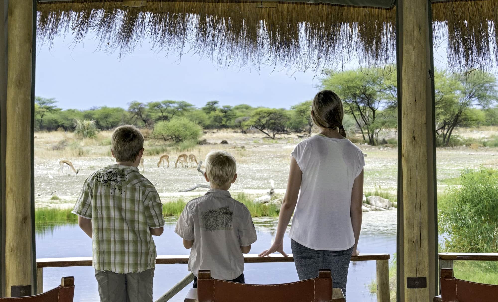 Family Namibia | Self-Drive Namibia with Safari Drive