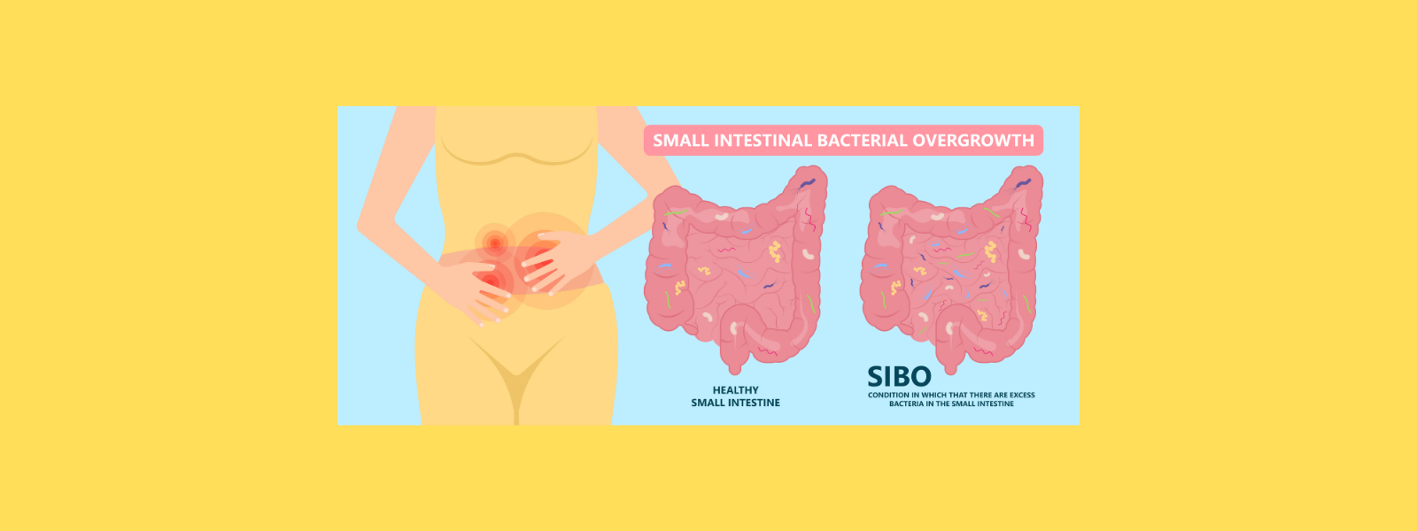 The 5 Types of SIBO and Connection to Other Health Conditions | The ...