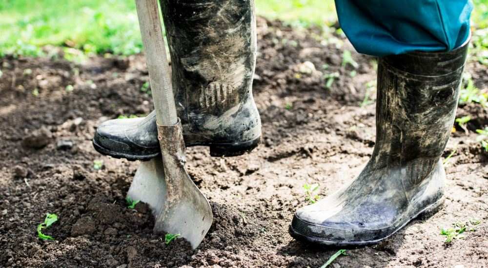 Understanding Melbourne's Unique Soil Content | Soil Types