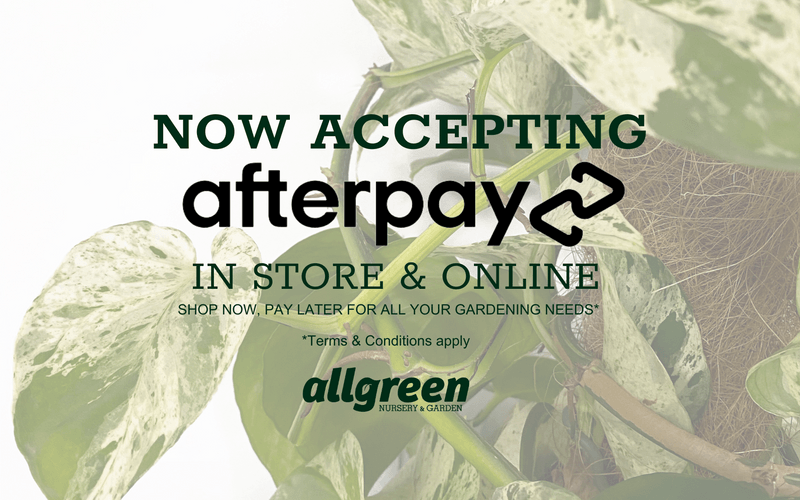 All Green Plant Nursery | Melbourne Garden Centre