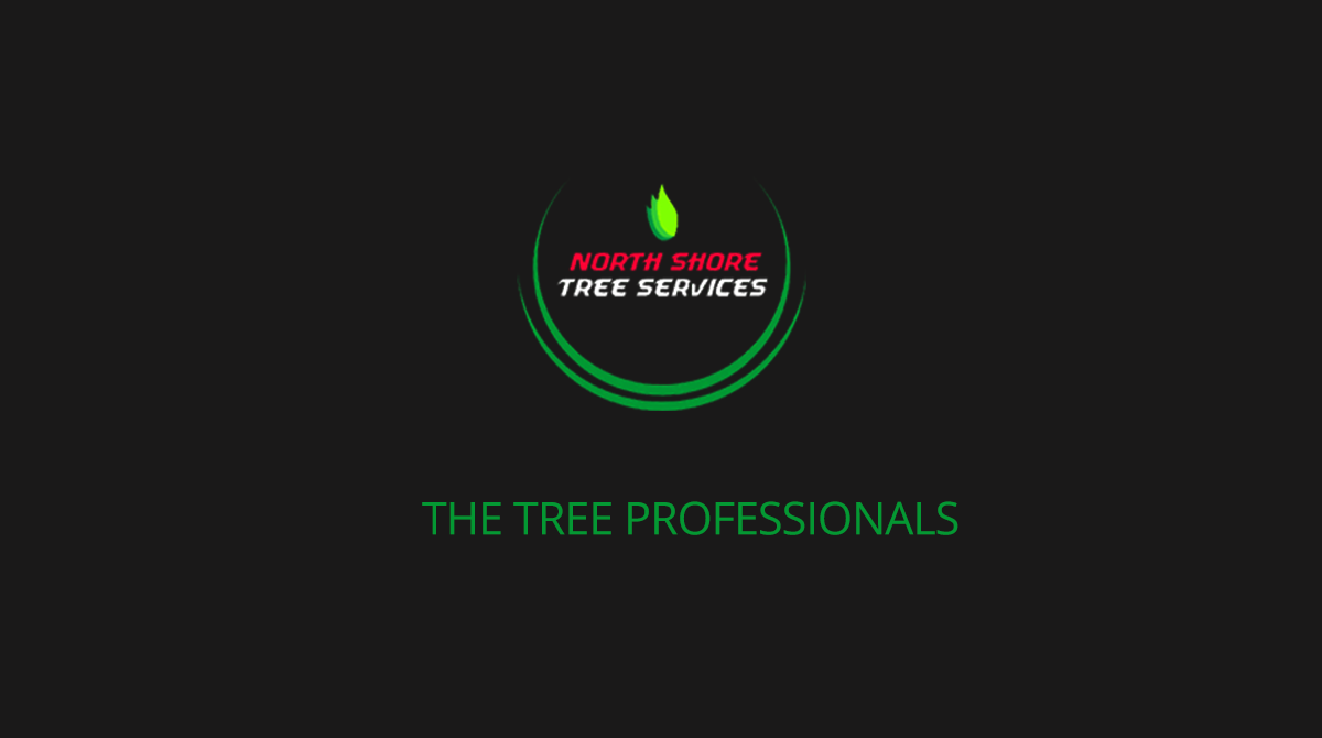 Tree Removal Sydney | North Shore Tree Services
