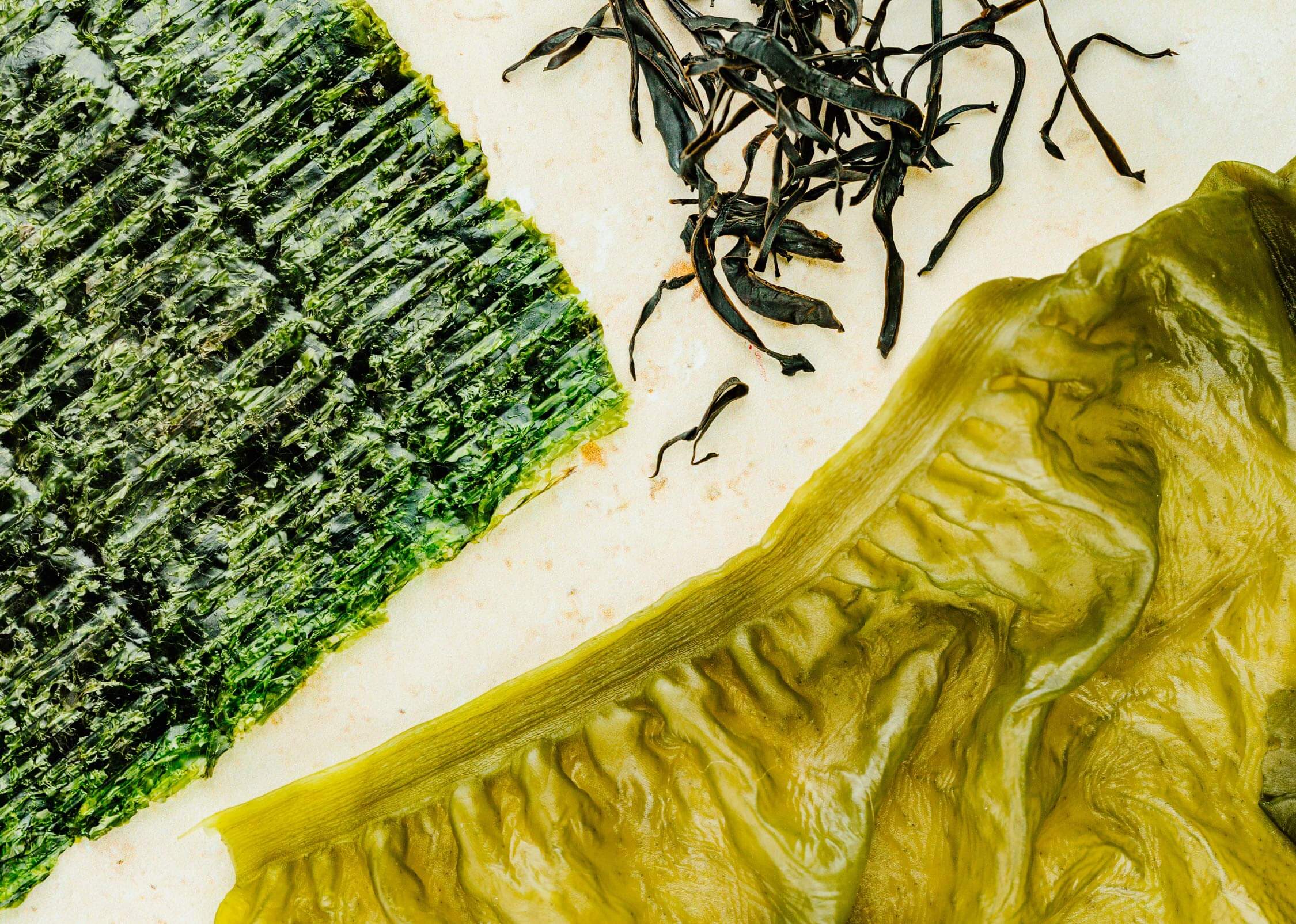 Sea Lettuce: A Sustainable and Nutritious Ingredient for People and the ...