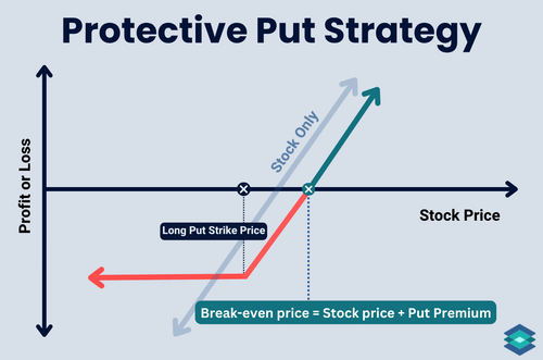 Protective Put Options Strategy: Beginner's Guide | TradingBlock