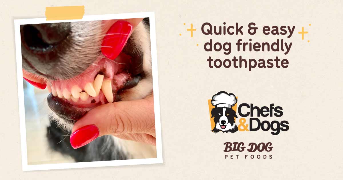 Quick and easy dog friendly toothpaste - Guides | Big Dog Pet Foods