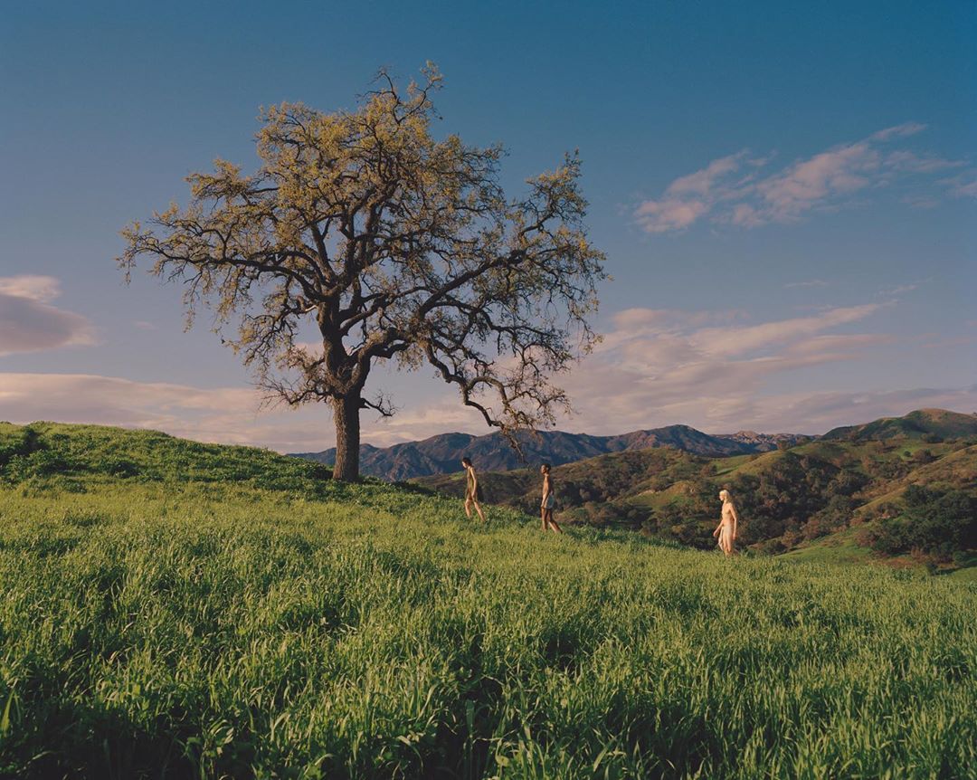 Selected works by James Perolls