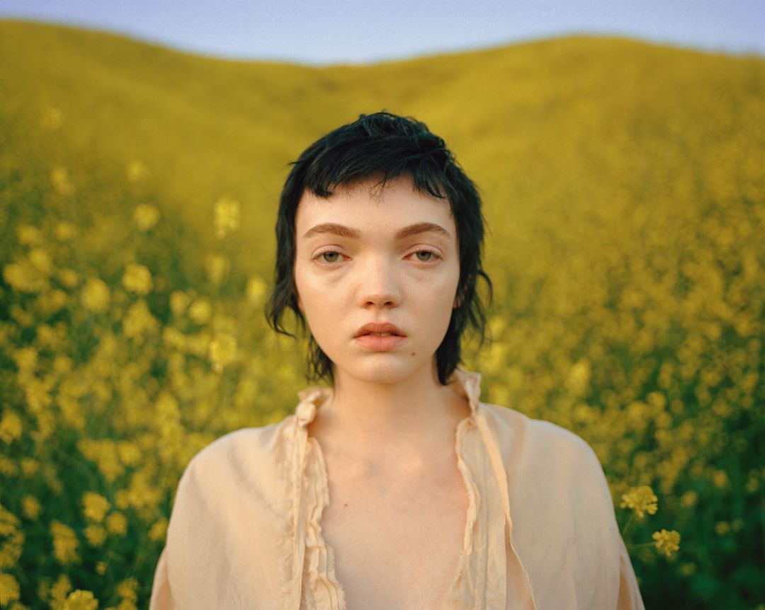 Selected works by James Perolls