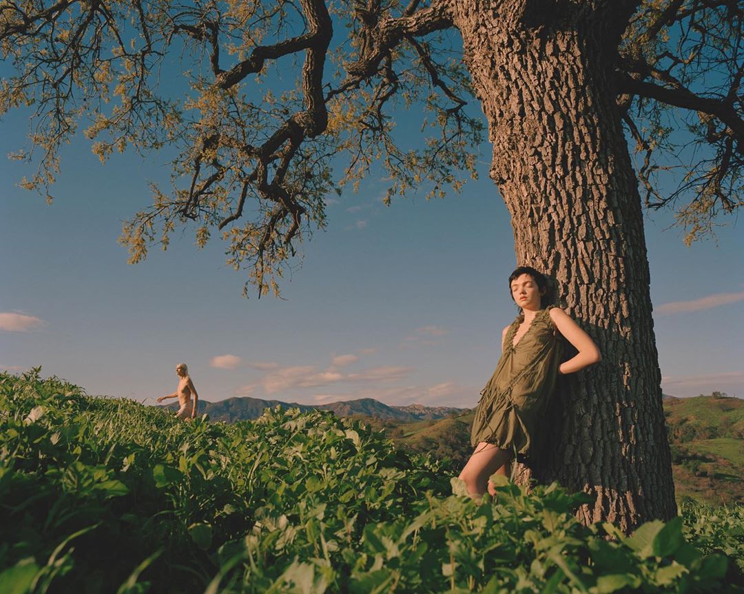 Selected works by James Perolls