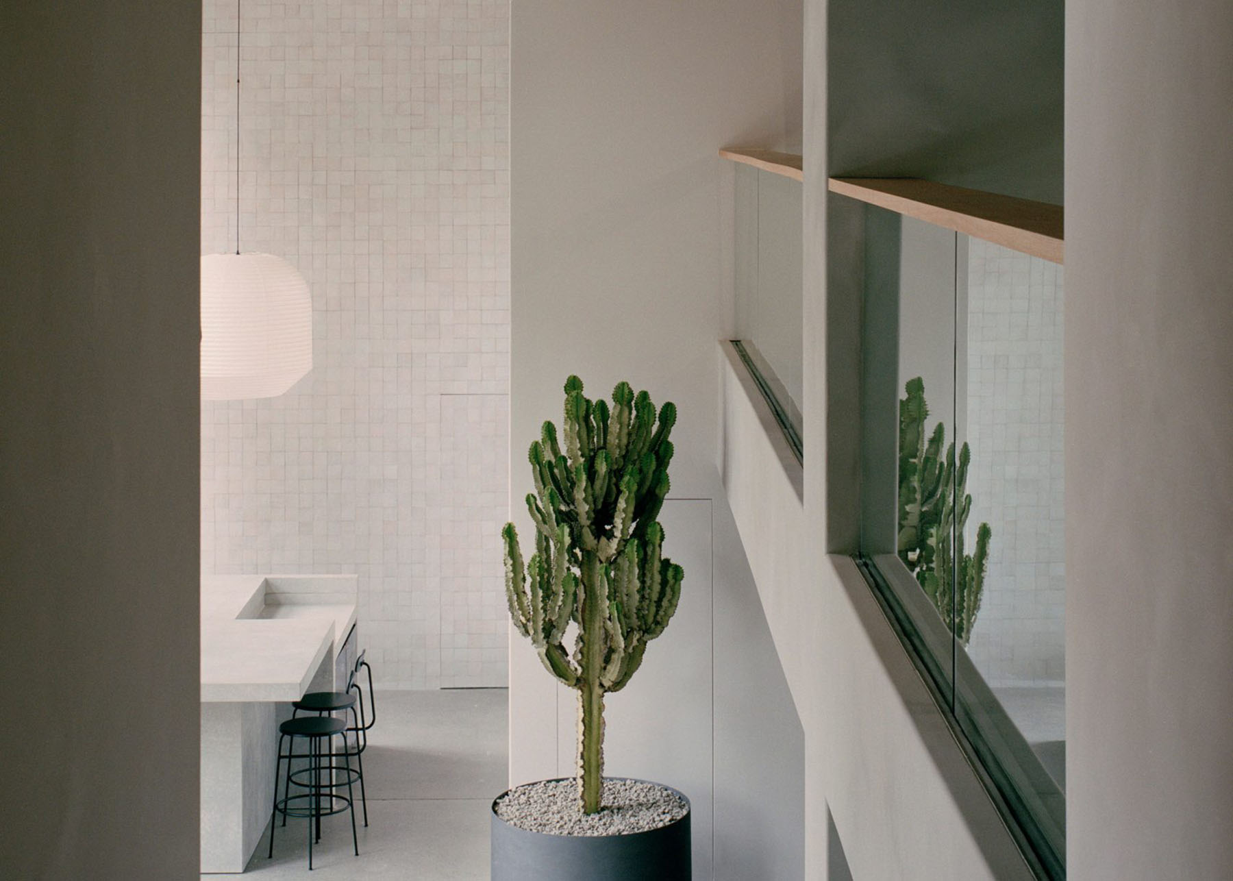 Armadillo & Co showroom by Studio Goss