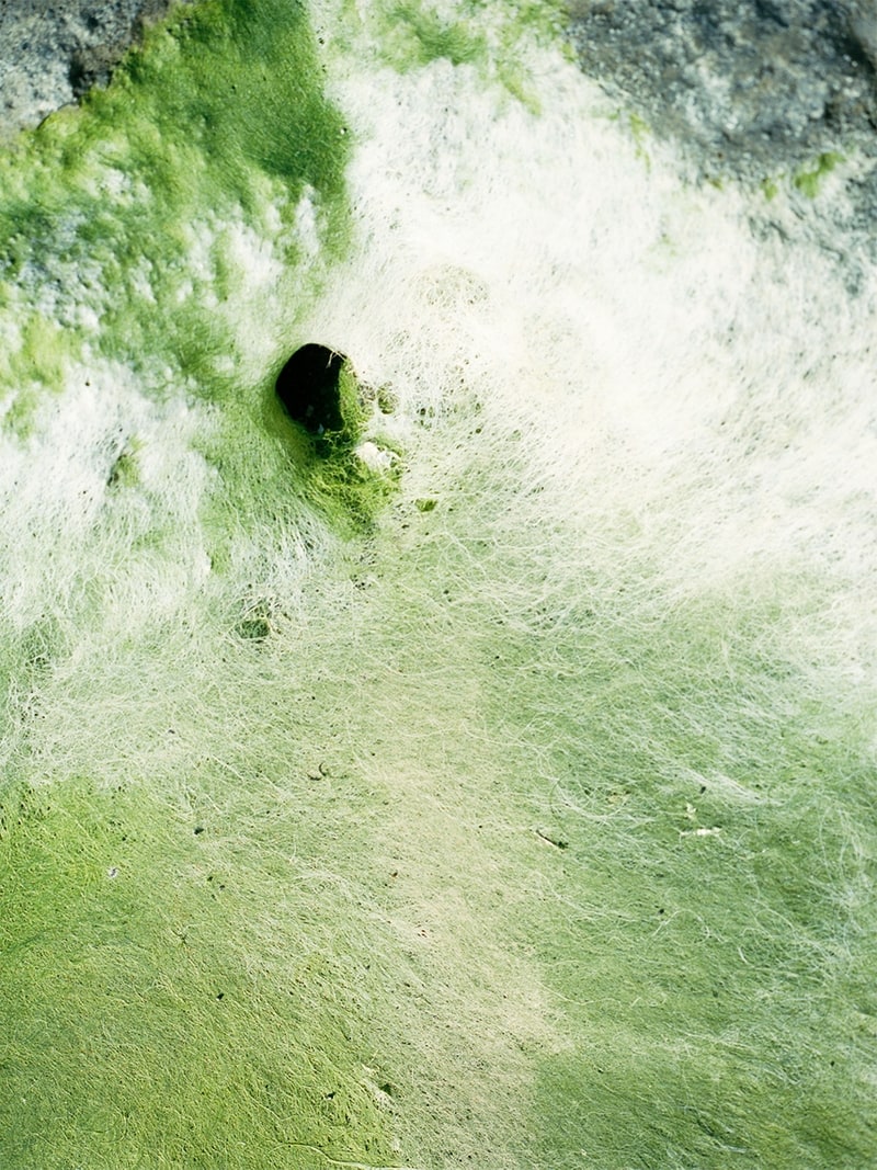 Selected photographs by Piczo