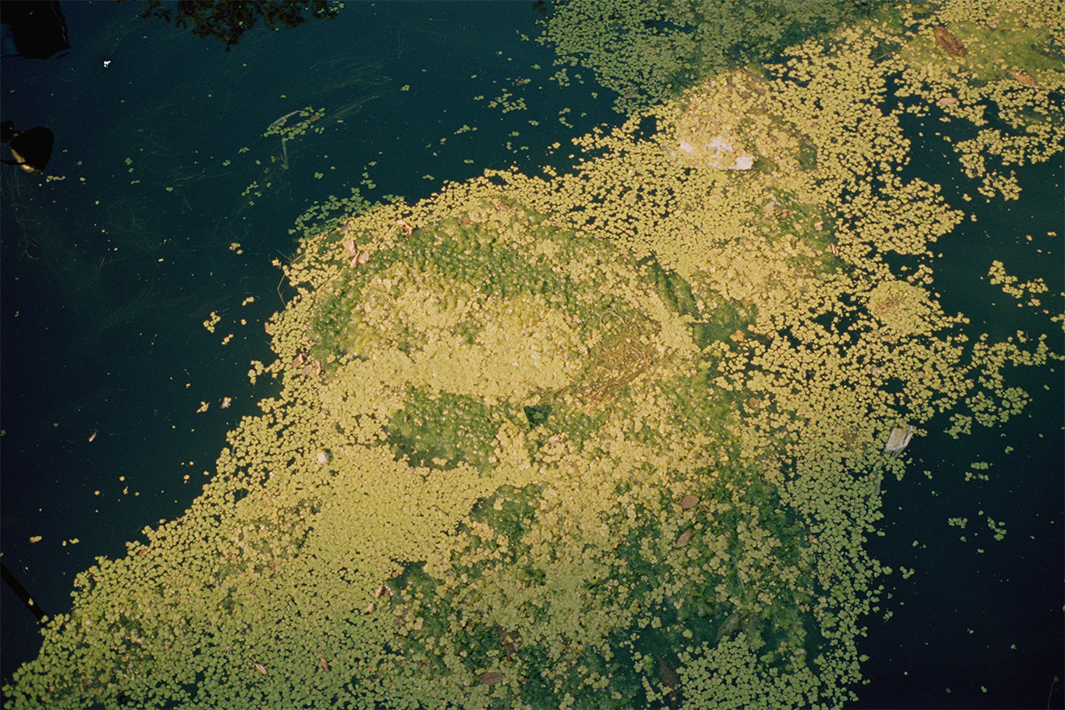 Selected photographs by Piczo