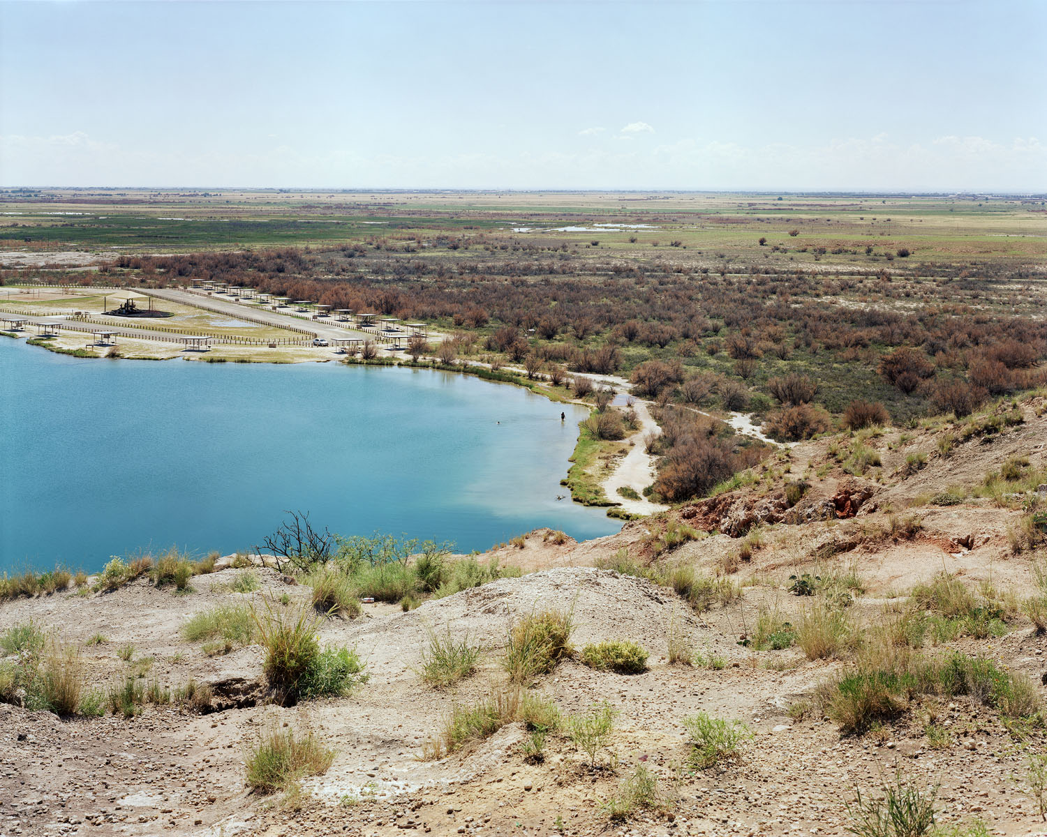 Plain Sight by Paloma Dooley