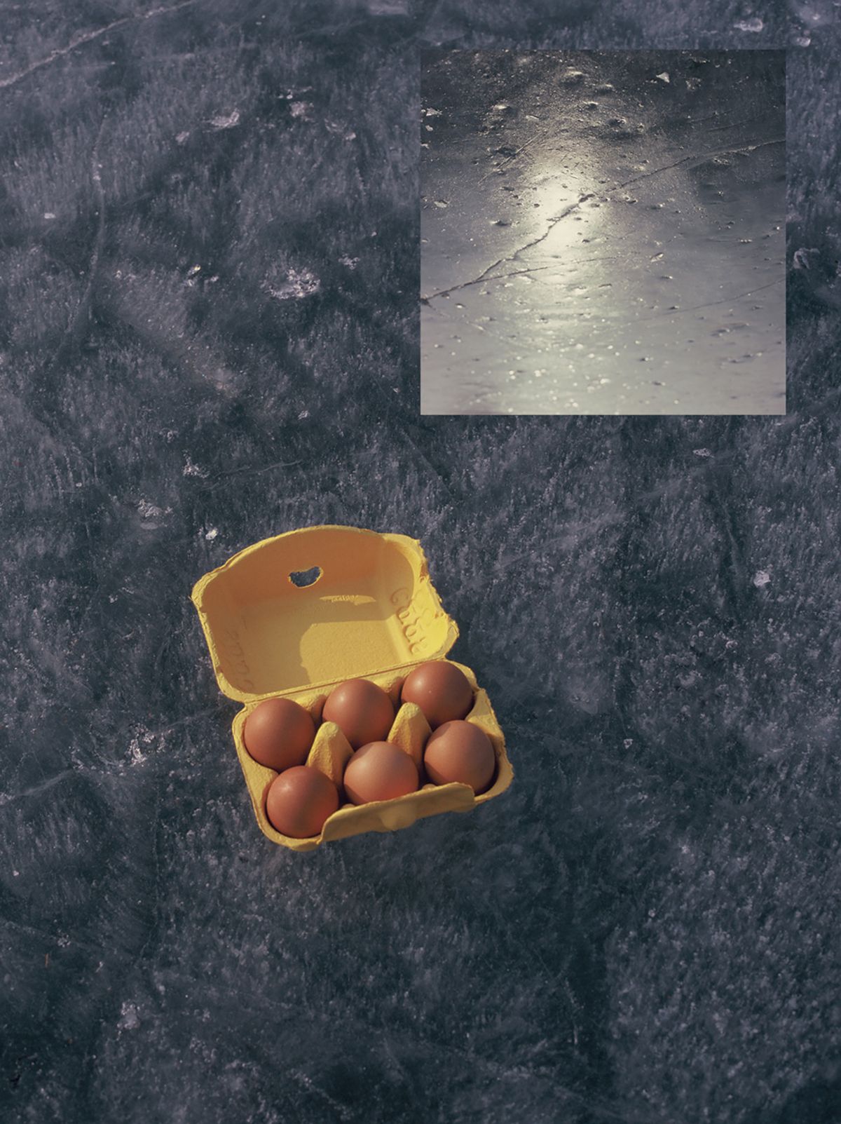 Daily Talk by Yichen Zhou