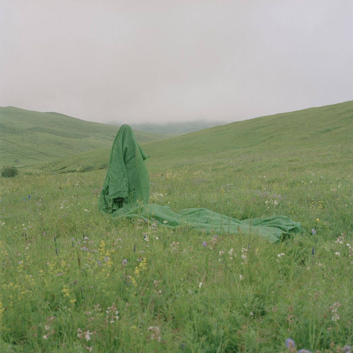 Daily Talk by Yichen Zhou