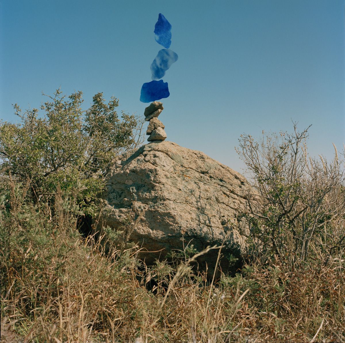 Daily Talk by Yichen Zhou