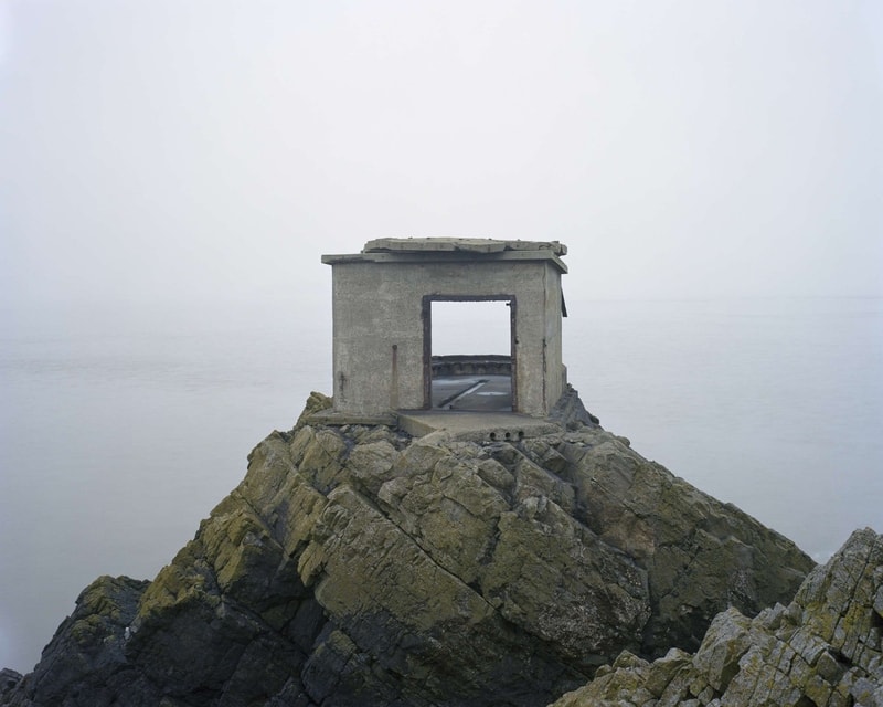 The Last Stand by Marc Wilson