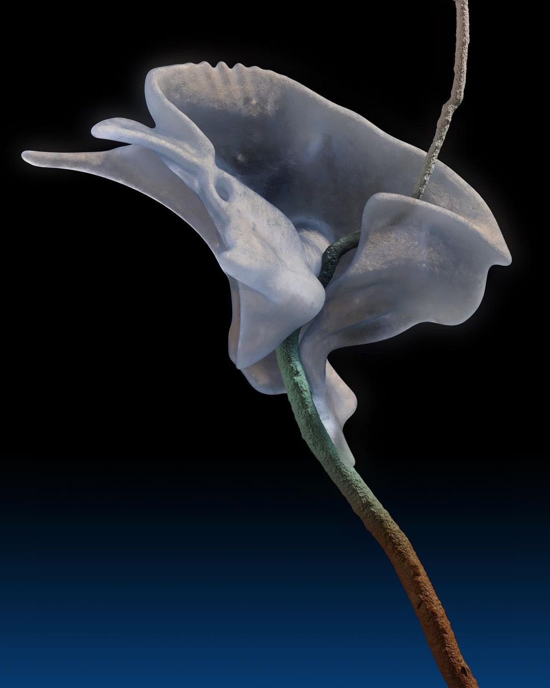 Selected works by Kushagra Gupta