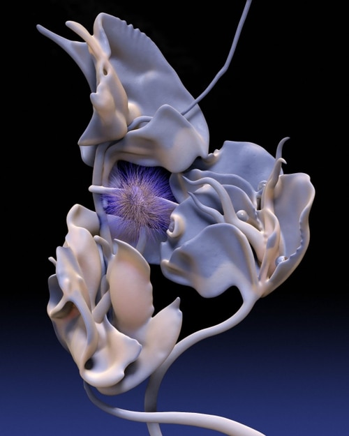 Selected works by Kushagra Gupta