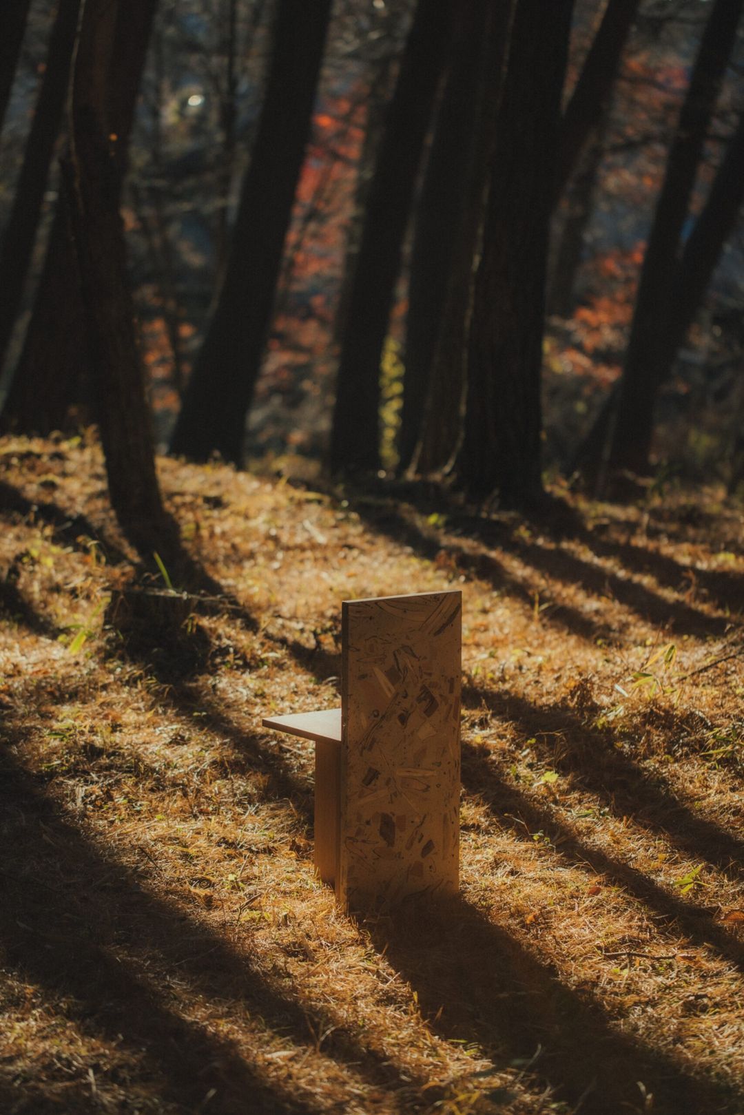 ForestBank™️ by Yuma Kano