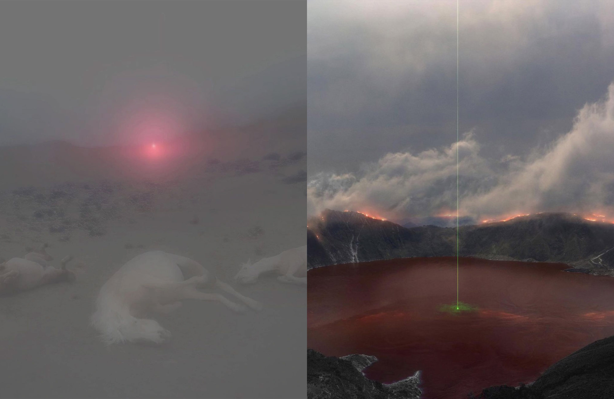 Selected works by Female Pentimento