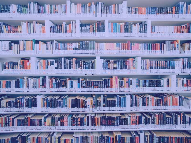 Input vs. Output—What Is the Right Mix for English Learners?