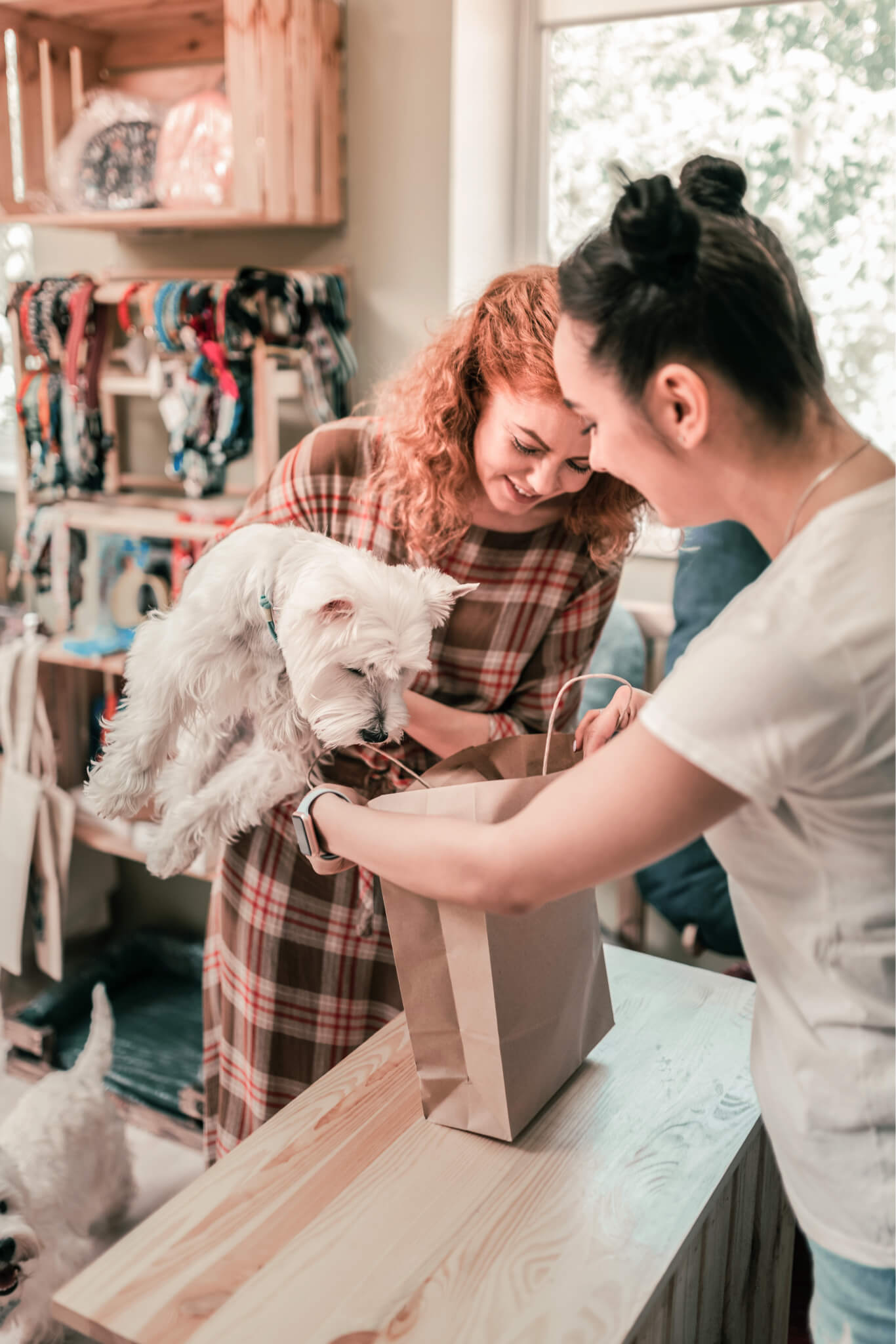 Pet Industry Trends for 2024 — PetExec