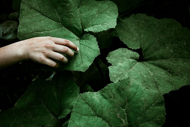 Enigma of Life Online Photo Exhibition by Artdoc Photography Magazine