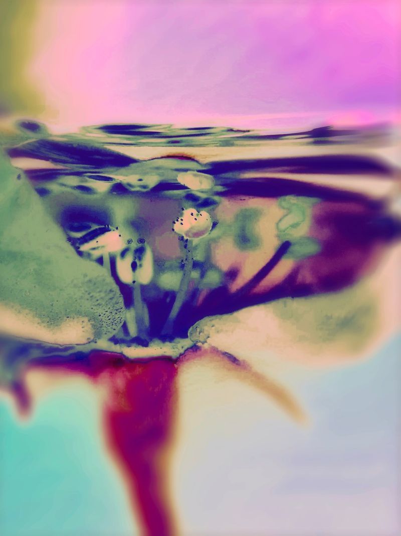 Enigma of Life Online Photo Exhibition by Artdoc Photography Magazine
