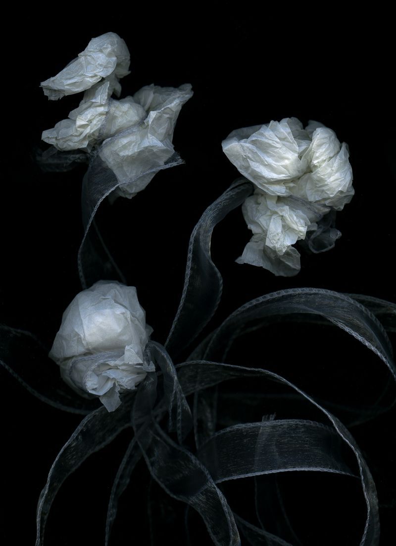 Enigma of Life Online Photo Exhibition by Artdoc Photography Magazine