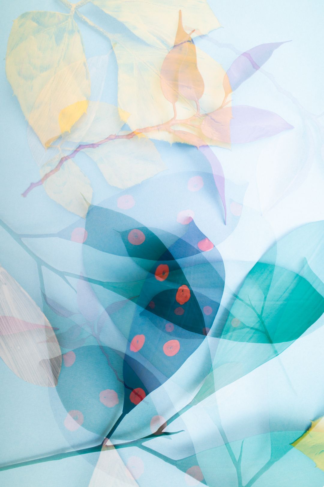 Exploring Shapes and Colours Online Photo Exhibition by Artdoc ...