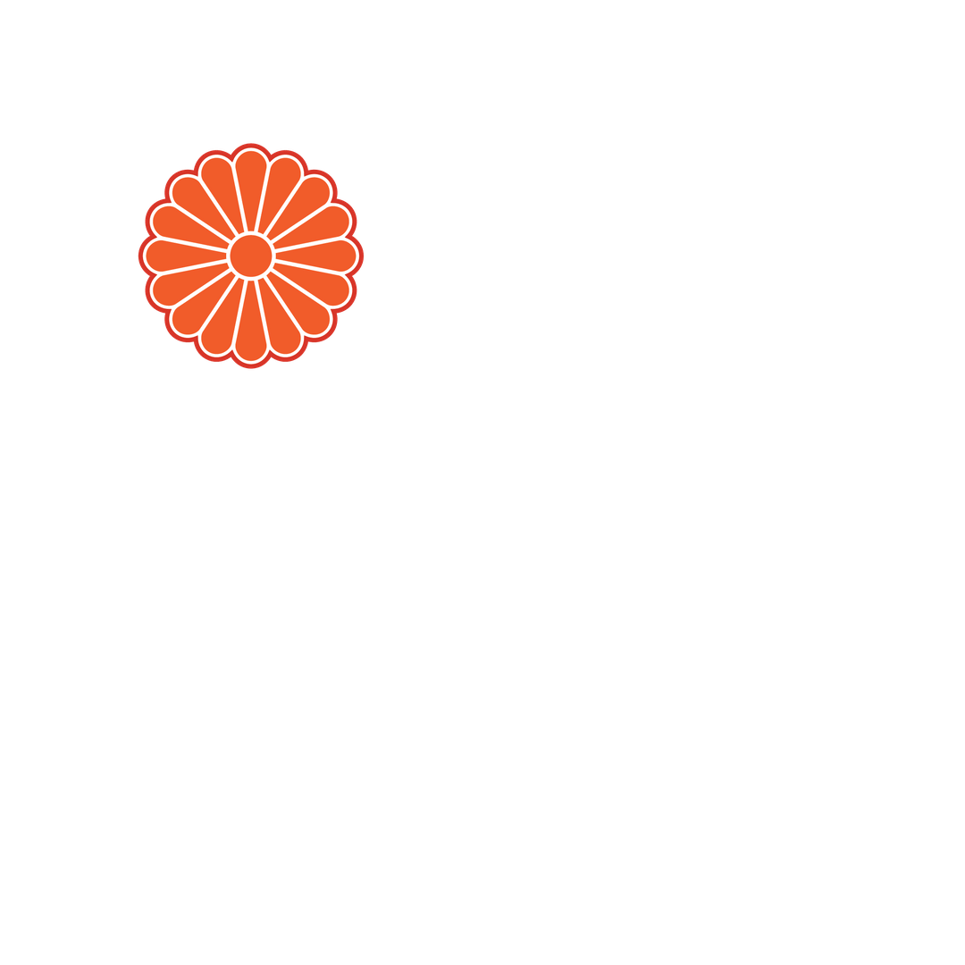 Kikku Kitchen - Japanese Food